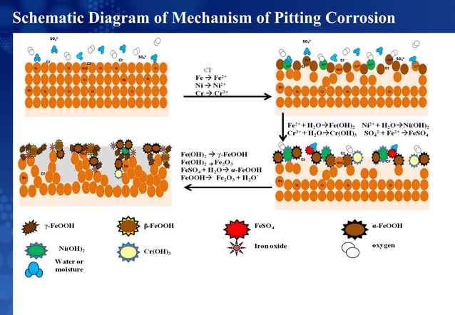 Evaluation of pitting corrosion behavior of 316 l and 304 stainless ...