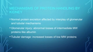 Evaluation of proteinuria in children - by Dr.B.Sivakanth | PPT