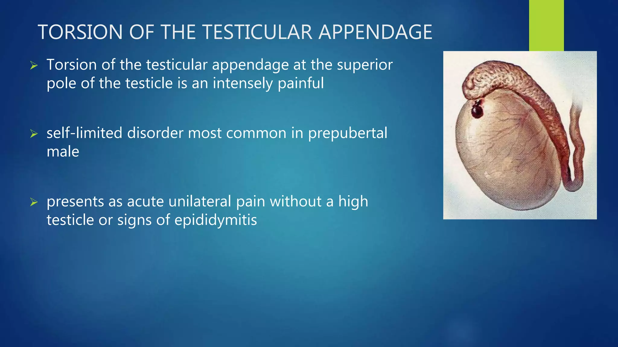 Evaluation of scortal mass | PPTX