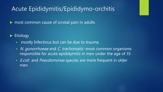 Evaluation of scortal mass | PPTX | Infertility | Reproductive Health