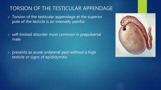 Evaluation of scortal mass | PPTX | Infertility | Reproductive Health