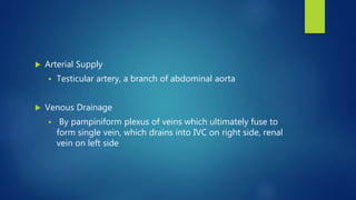 Evaluation of scortal mass | PPTX | Infertility | Reproductive Health