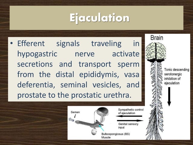 Evaluation of sexual function after prostatectomy- SHIM score | PPT