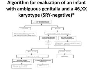 Evaluation of the infant with ambiguous genitalia | PPT