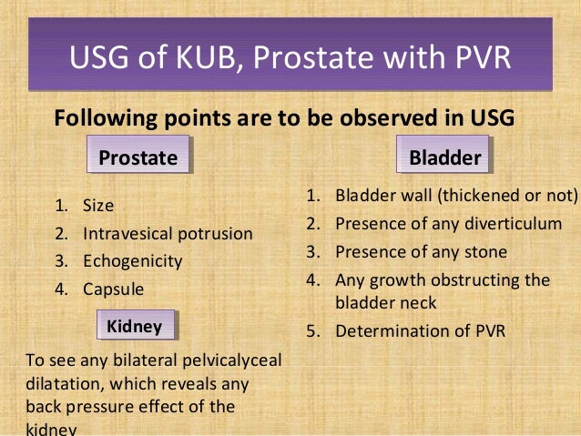 Evaluation Of The Patient With Bph