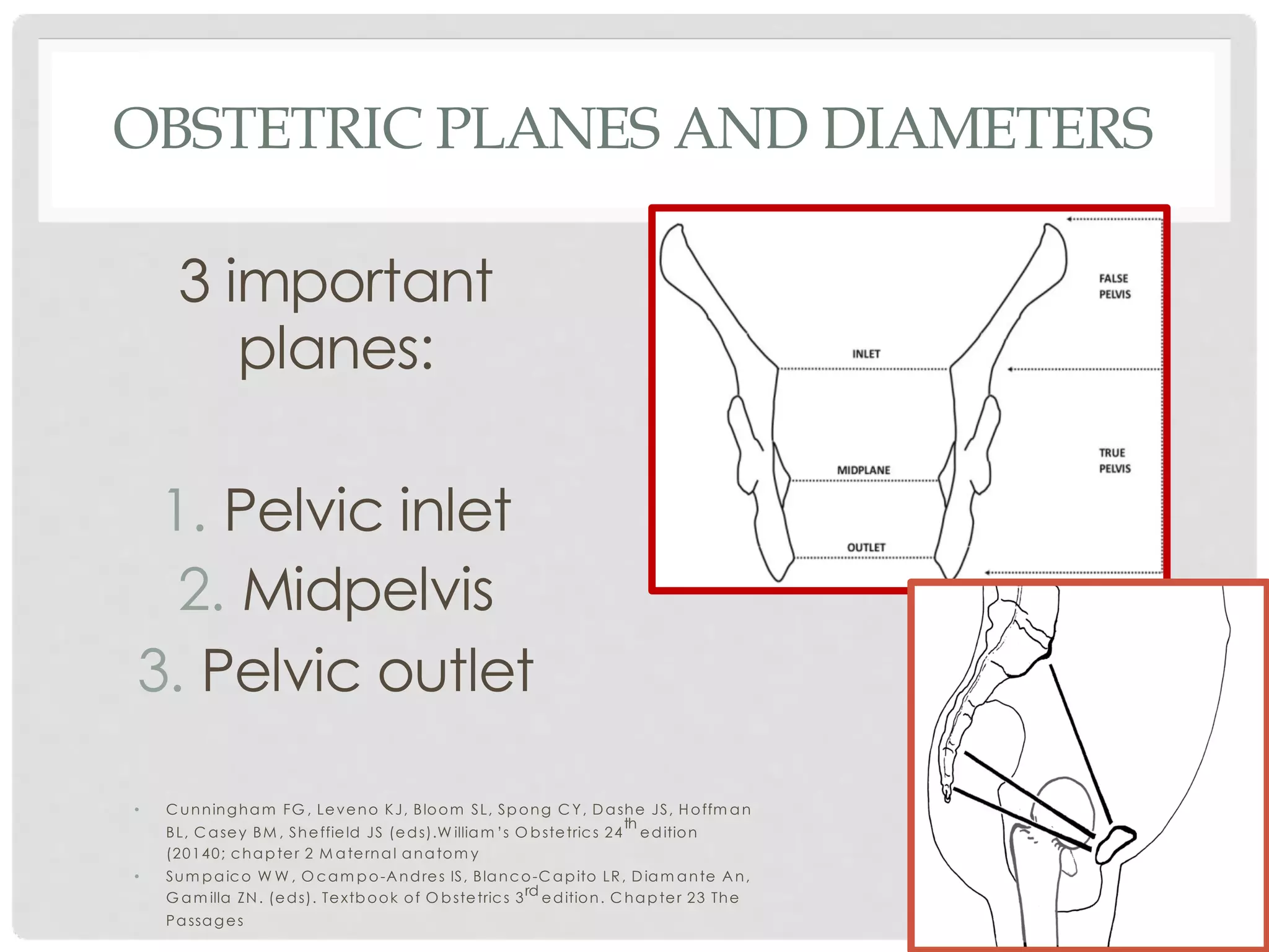 Evaluation of the pelvis | PDF