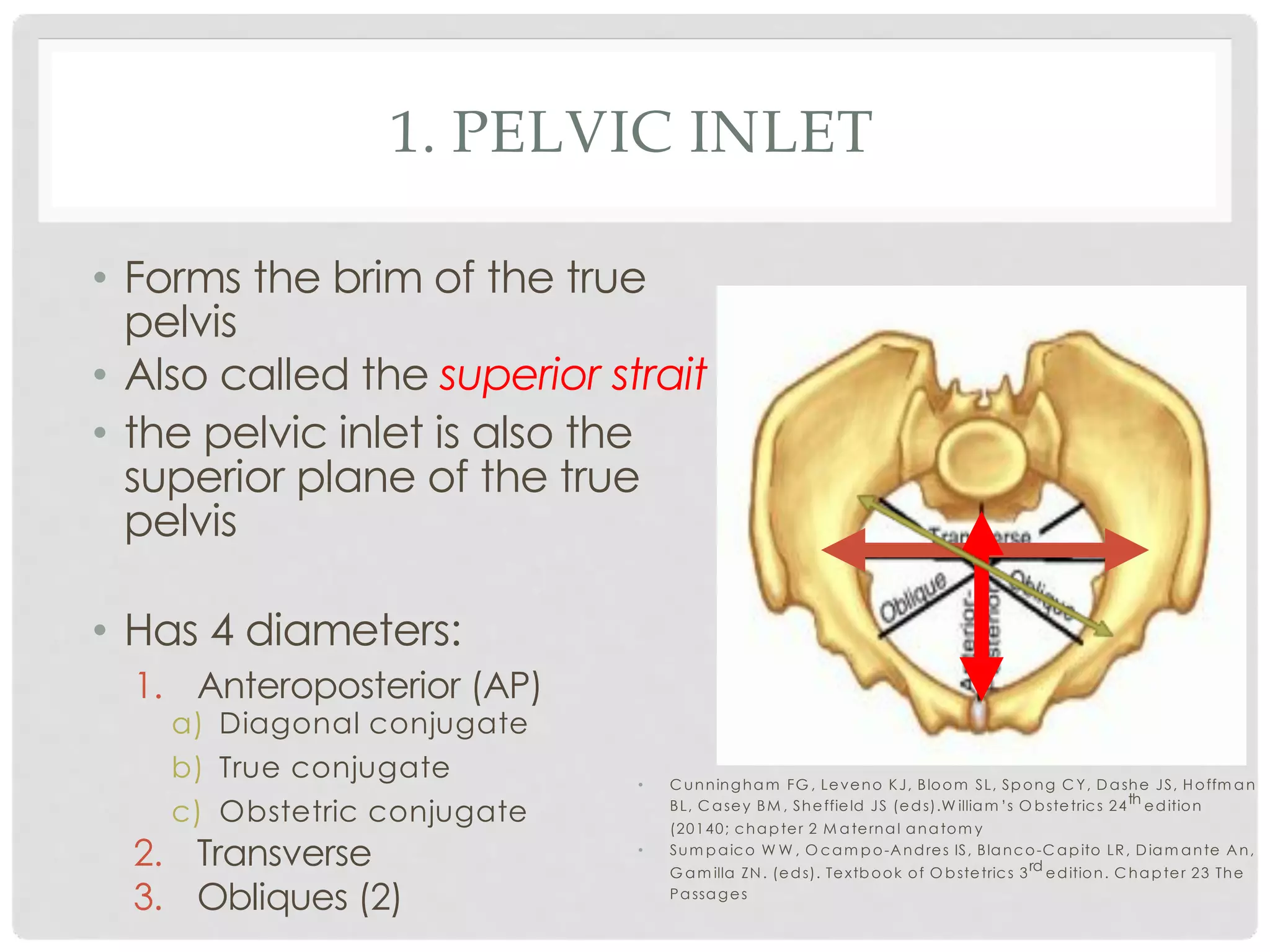 Evaluation of the pelvis | PDF