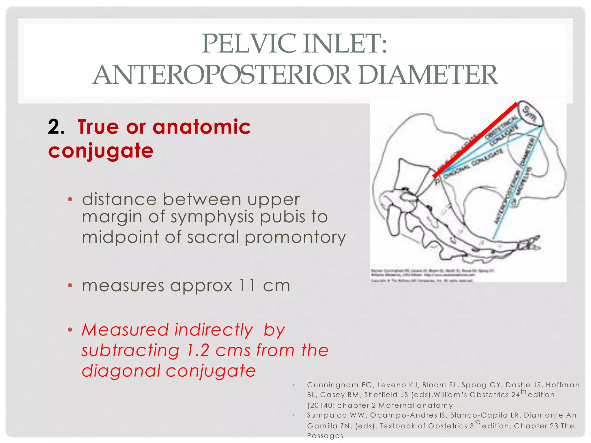 Evaluation of the pelvis | PDF