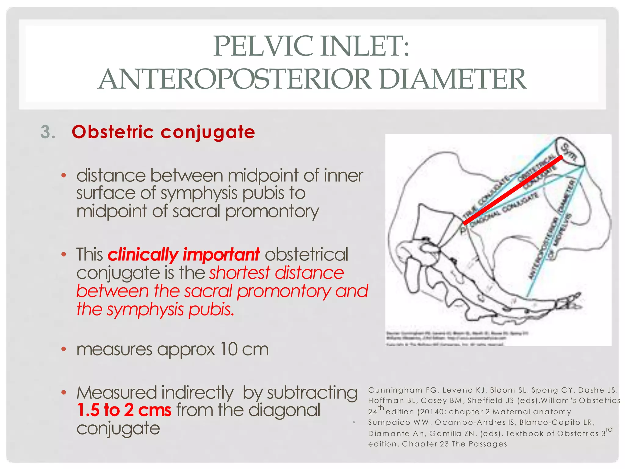 Evaluation of the pelvis | PDF