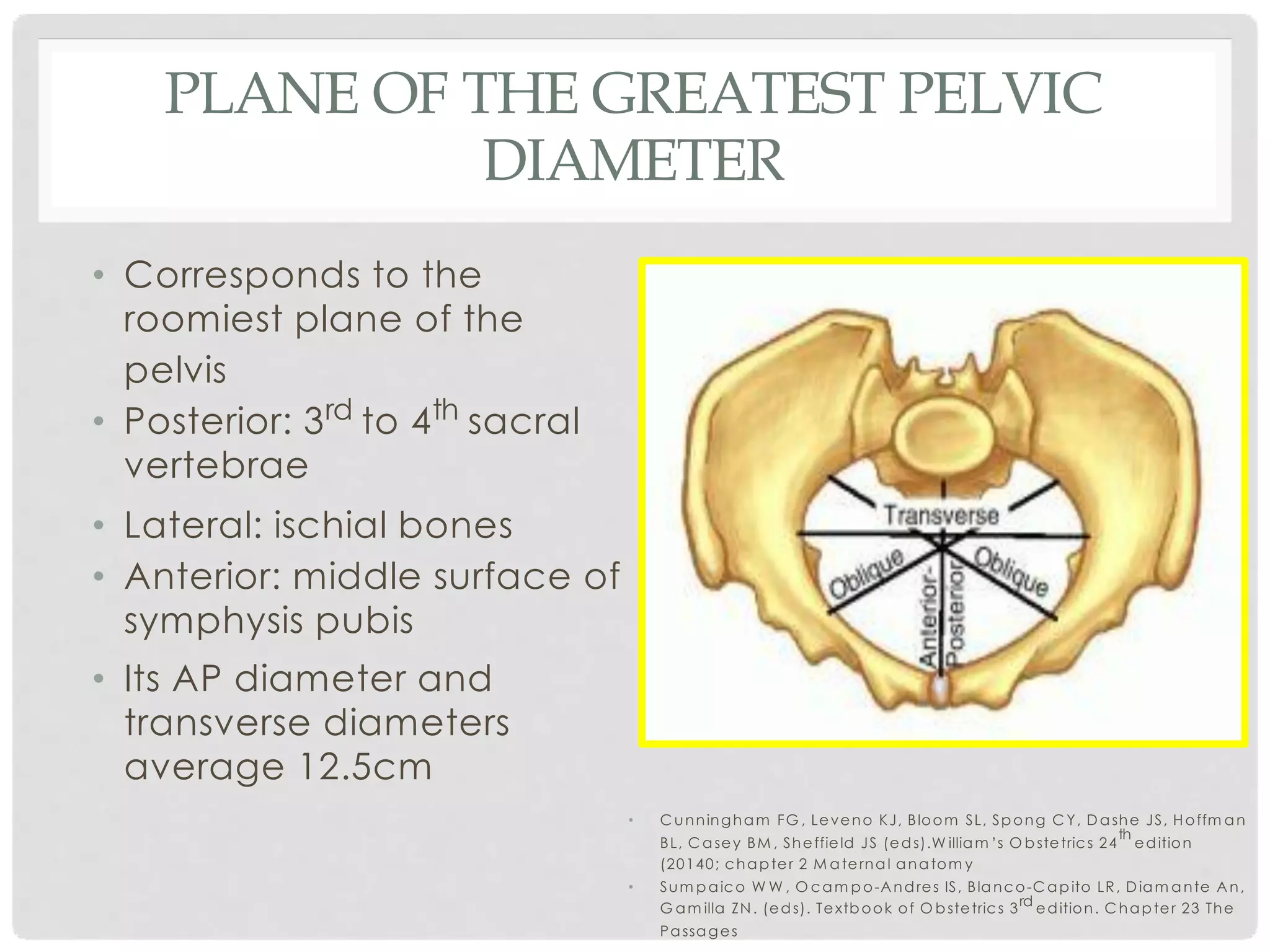Evaluation of the pelvis | PDF