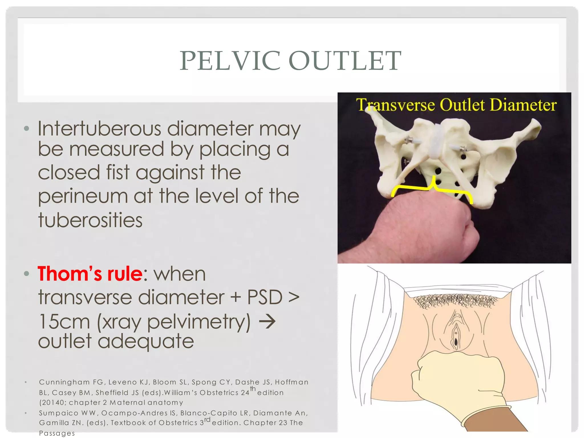 Evaluation of the pelvis | PDF