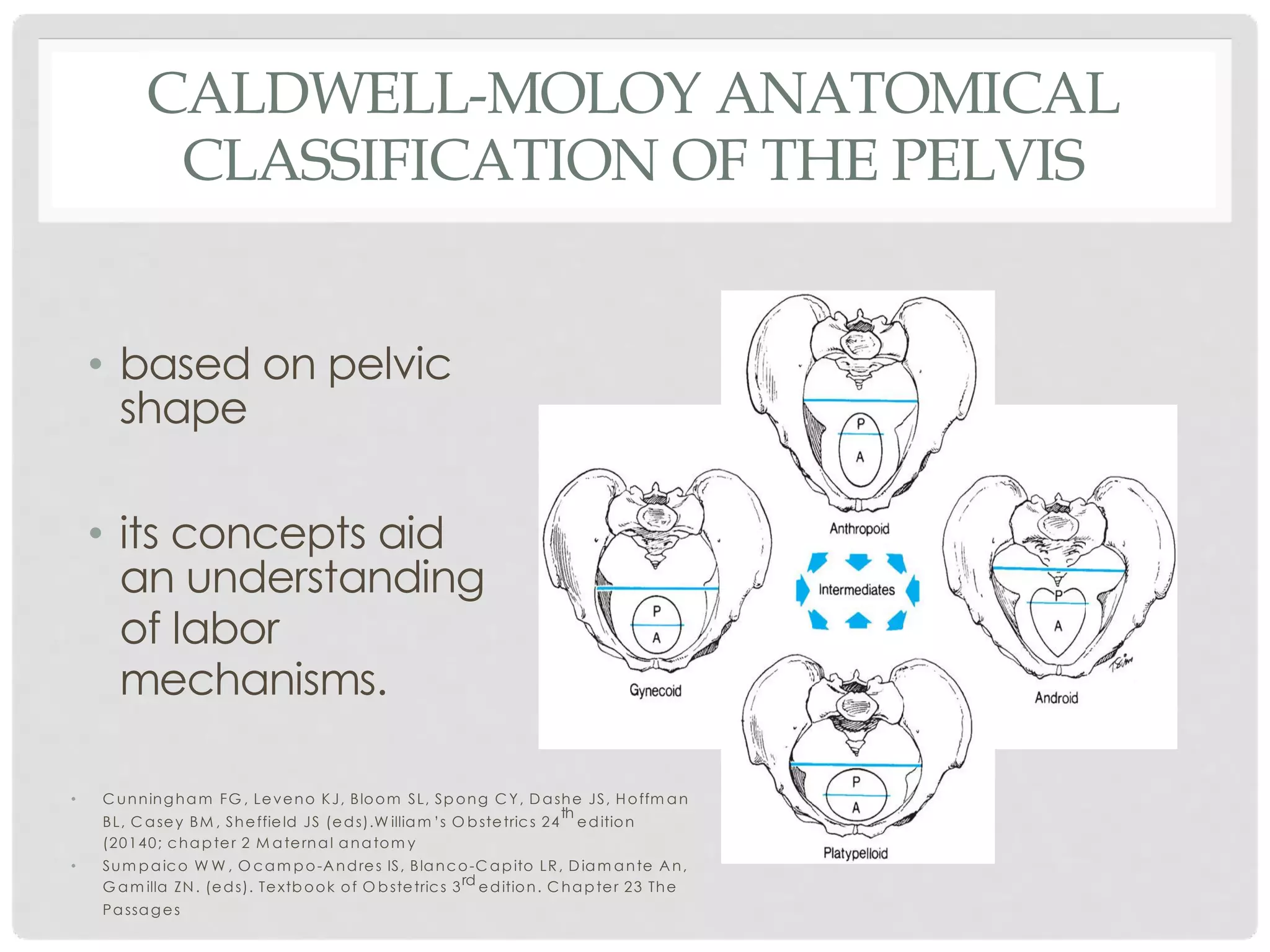 Evaluation of the pelvis | PDF
