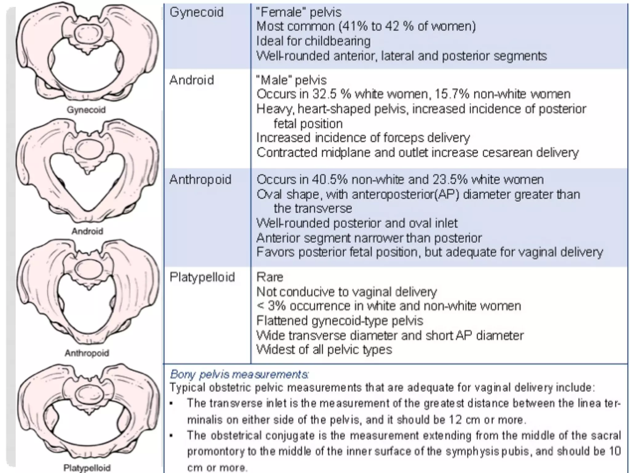 Evaluation of the pelvis | PDF