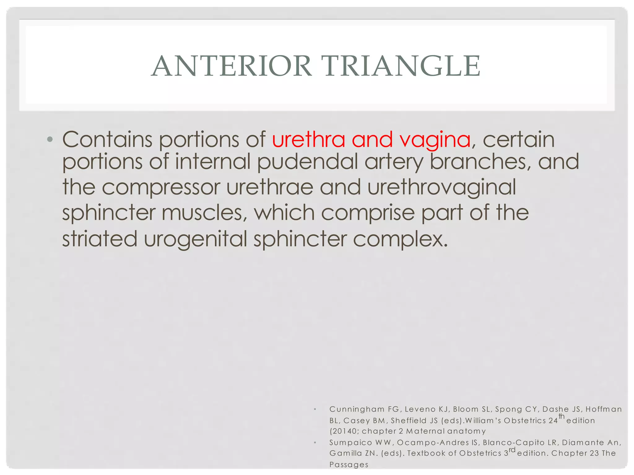 Evaluation of the pelvis | PDF