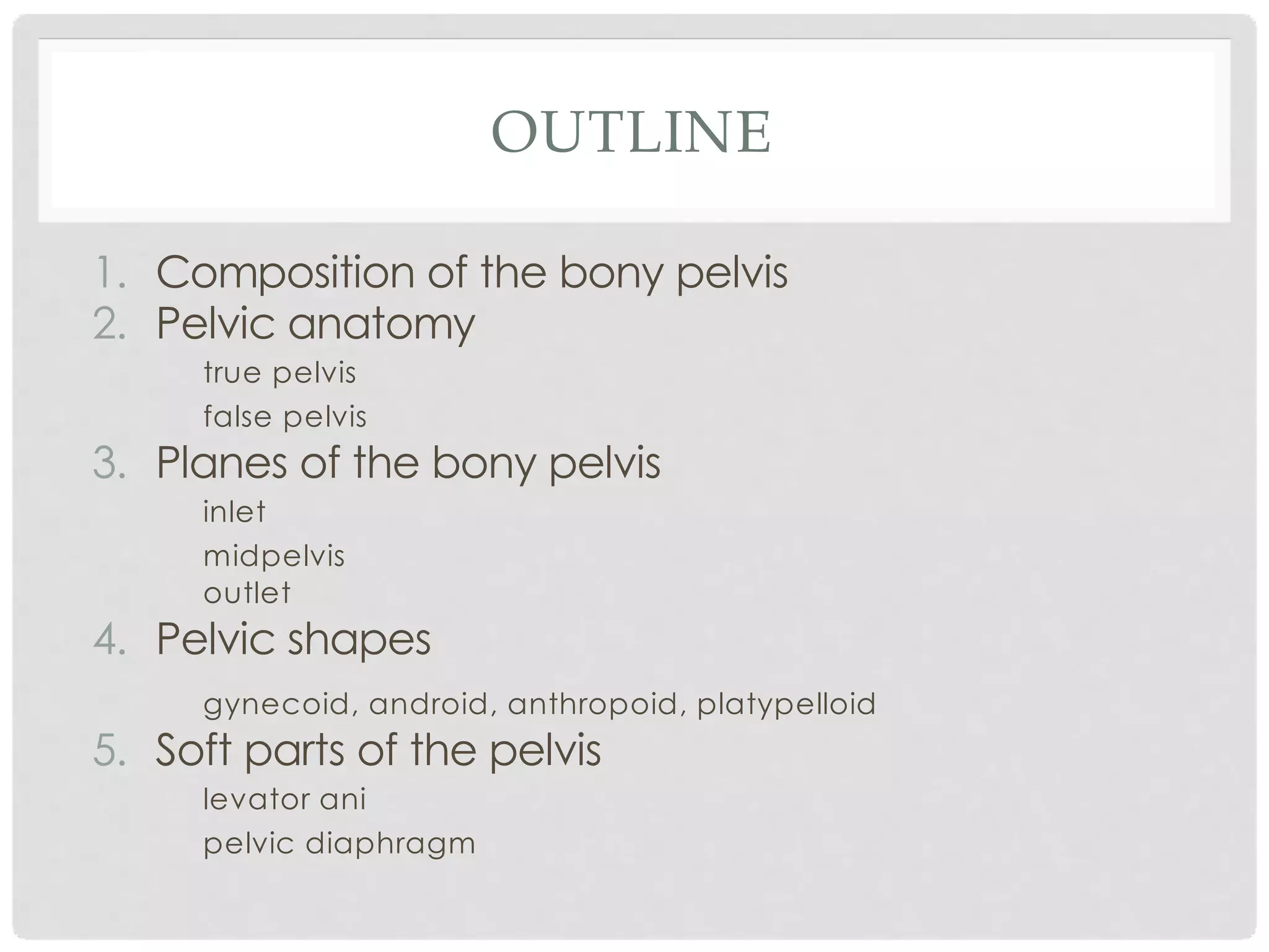 Evaluation of the pelvis | PDF