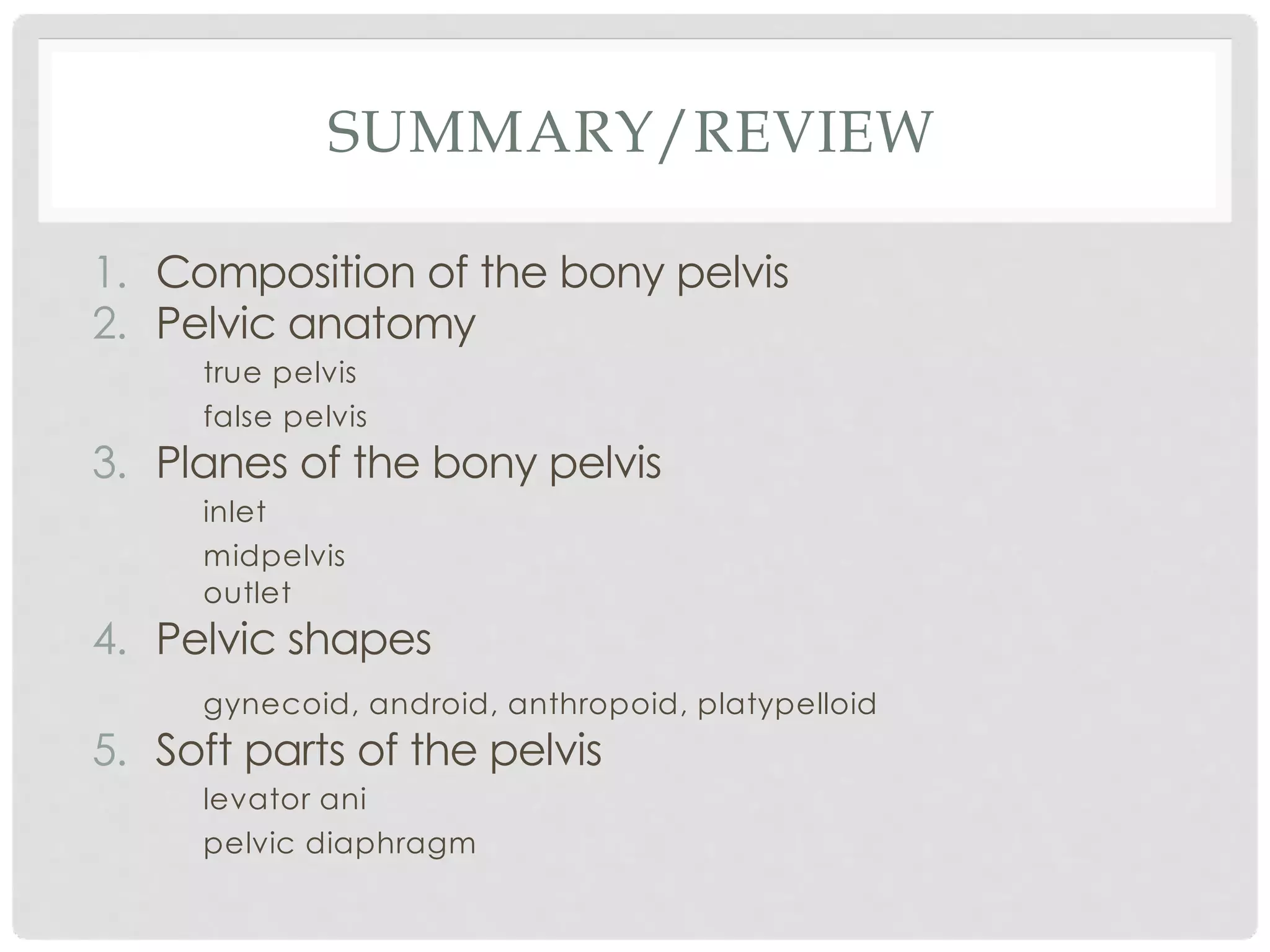 Evaluation of the pelvis | PDF