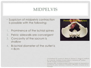 Evaluation of the pelvis | PDF