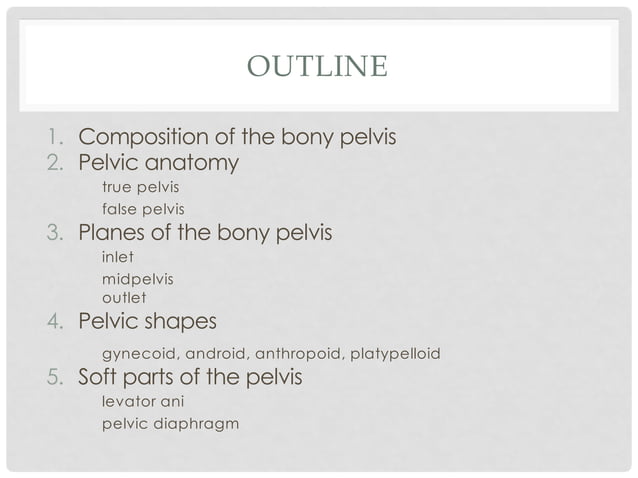 Evaluation of the pelvis | PDF | Pregnancy | Reproductive Health