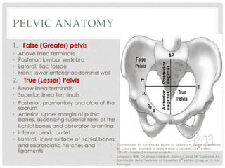 Evaluation of the pelvis | PDF