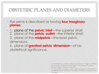 Evaluation of the pelvis | PDF