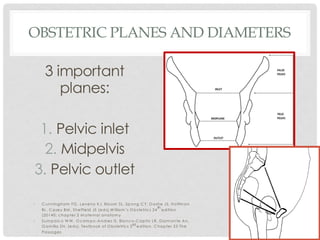 Pelvic Outlet Measurements