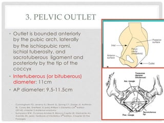 Evaluation of the pelvis | PPT