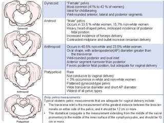 Types Of Pelvis