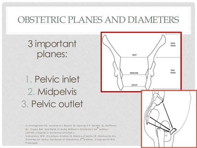 Evaluation of the pelvis