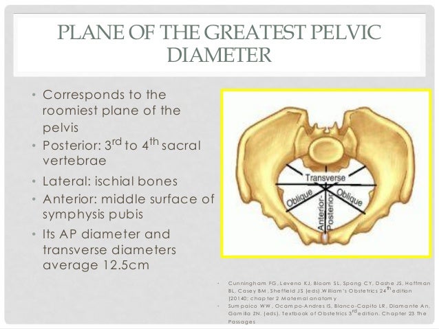 Evaluation of the pelvis