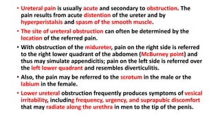 Evaluation of the Urologic Patient.pptx