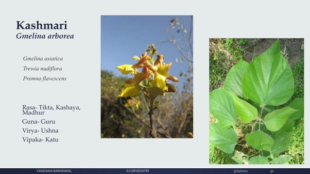 Evaluation of Threats and Sustainable Utilization of Lesser Known ...