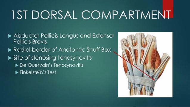 PS SESSION : ELBOW WRIST AND HAND EXAMINATION PART 2