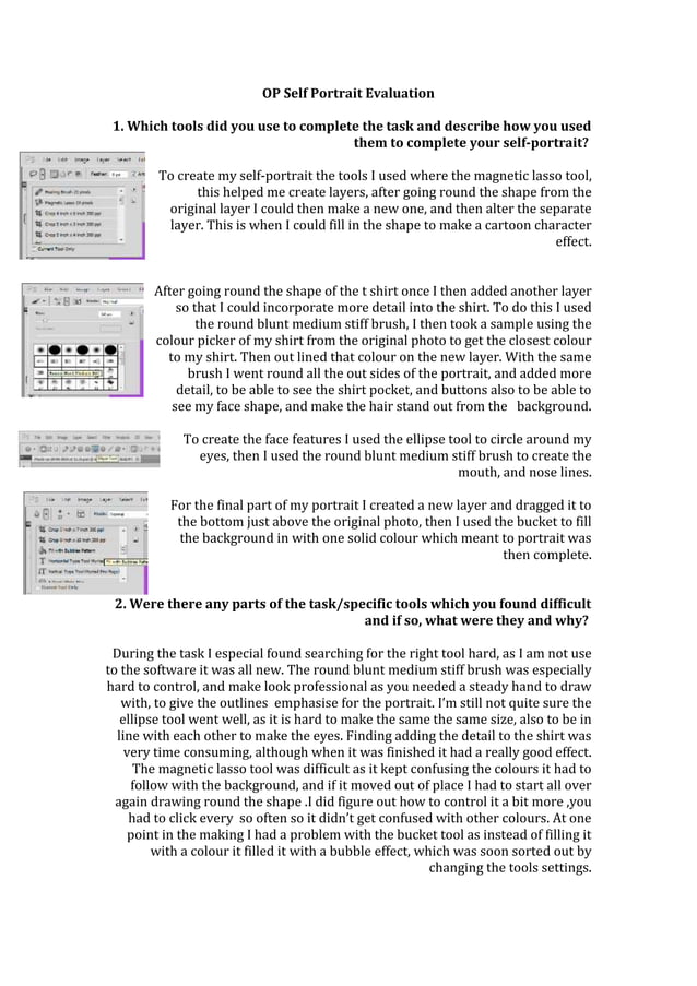 Evaluation of OP Portrait | DOCX | Photo Editing Software | Computer ...