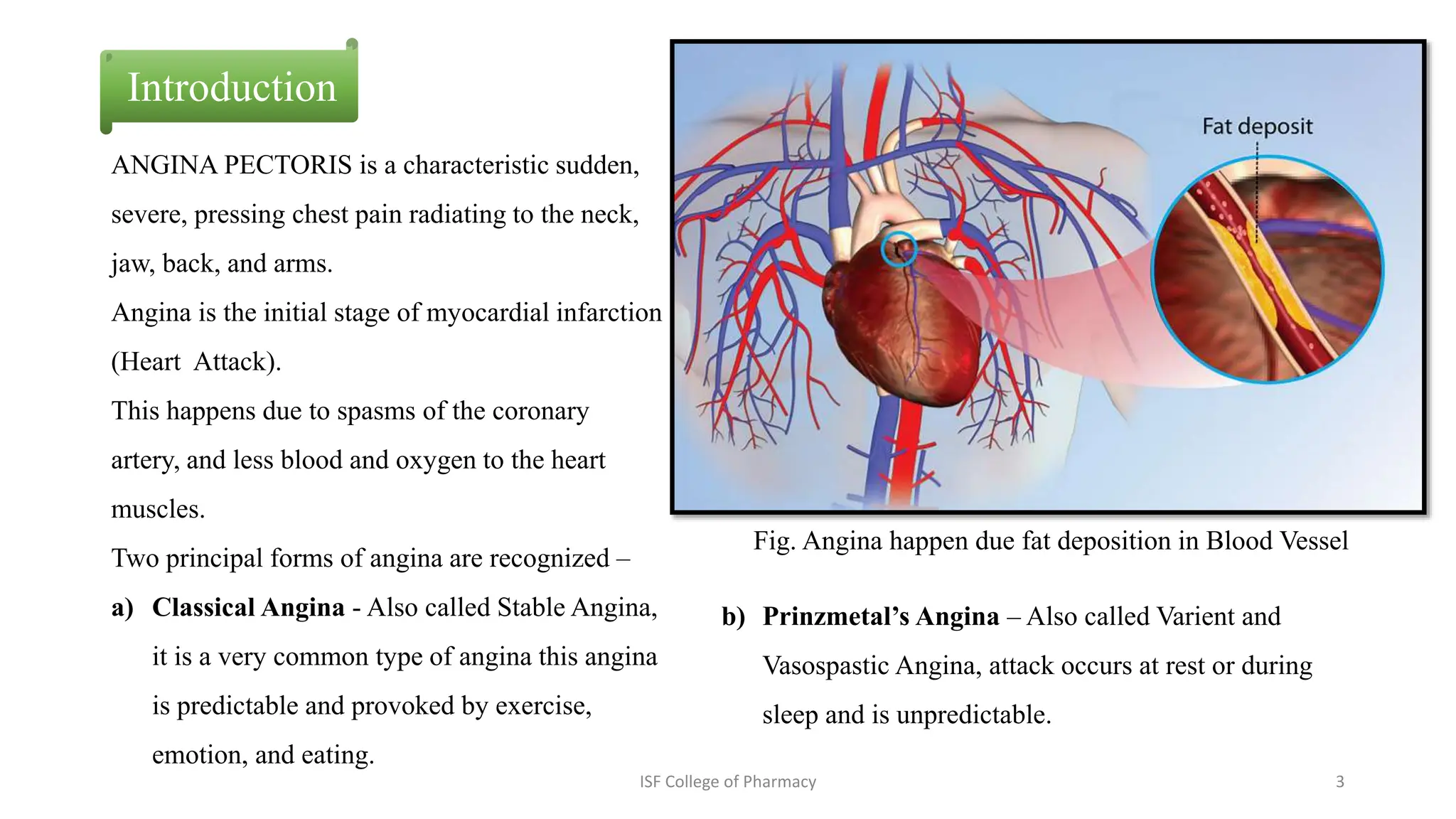Evalution of Anti-Anginal Drugs, Animal models for Angina, Both IN VIVO ...