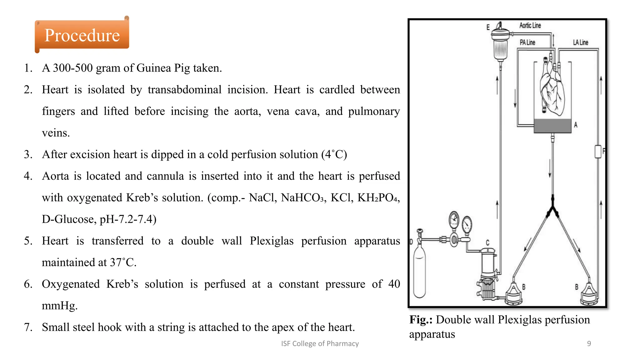 Evalution of Anti-Anginal Drugs, Animal models for Angina, Both IN VIVO ...