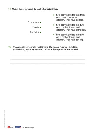 Evaluunit 2 | DOCX