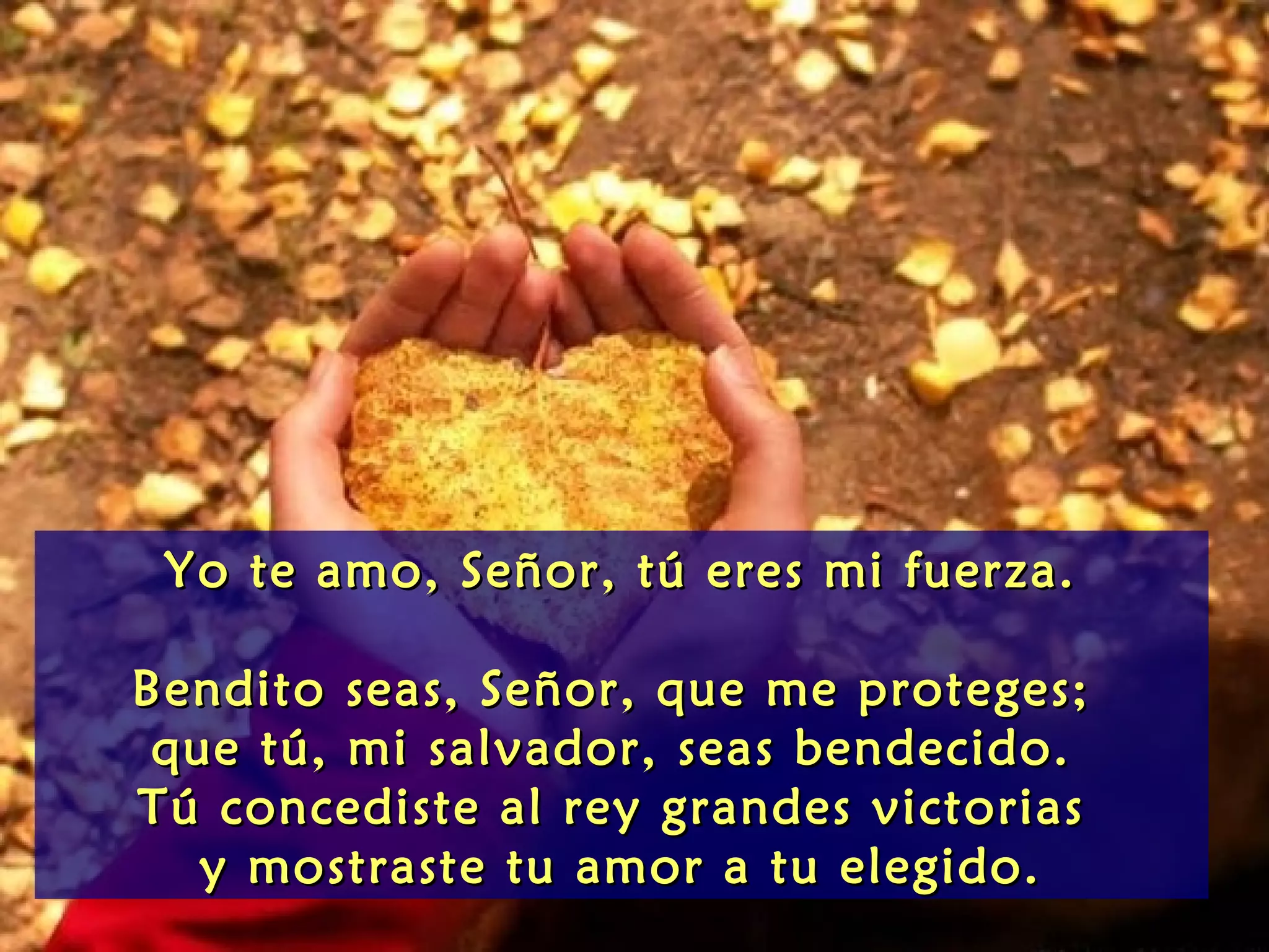 Evangelio san marcos 12, 28 34 | PPS