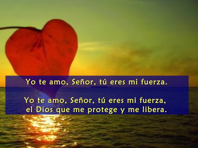 Evangelio san marcos 12, 28 34 | PPS