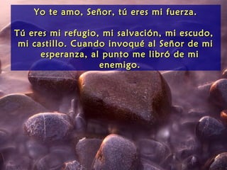 Evangelio san marcos 12, 28 34 | PPS