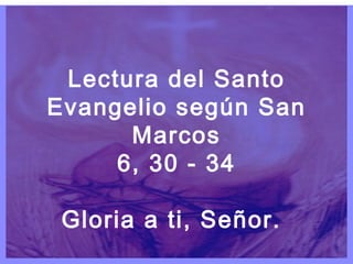Evangelio san marcos 6, 30 34 | PPS