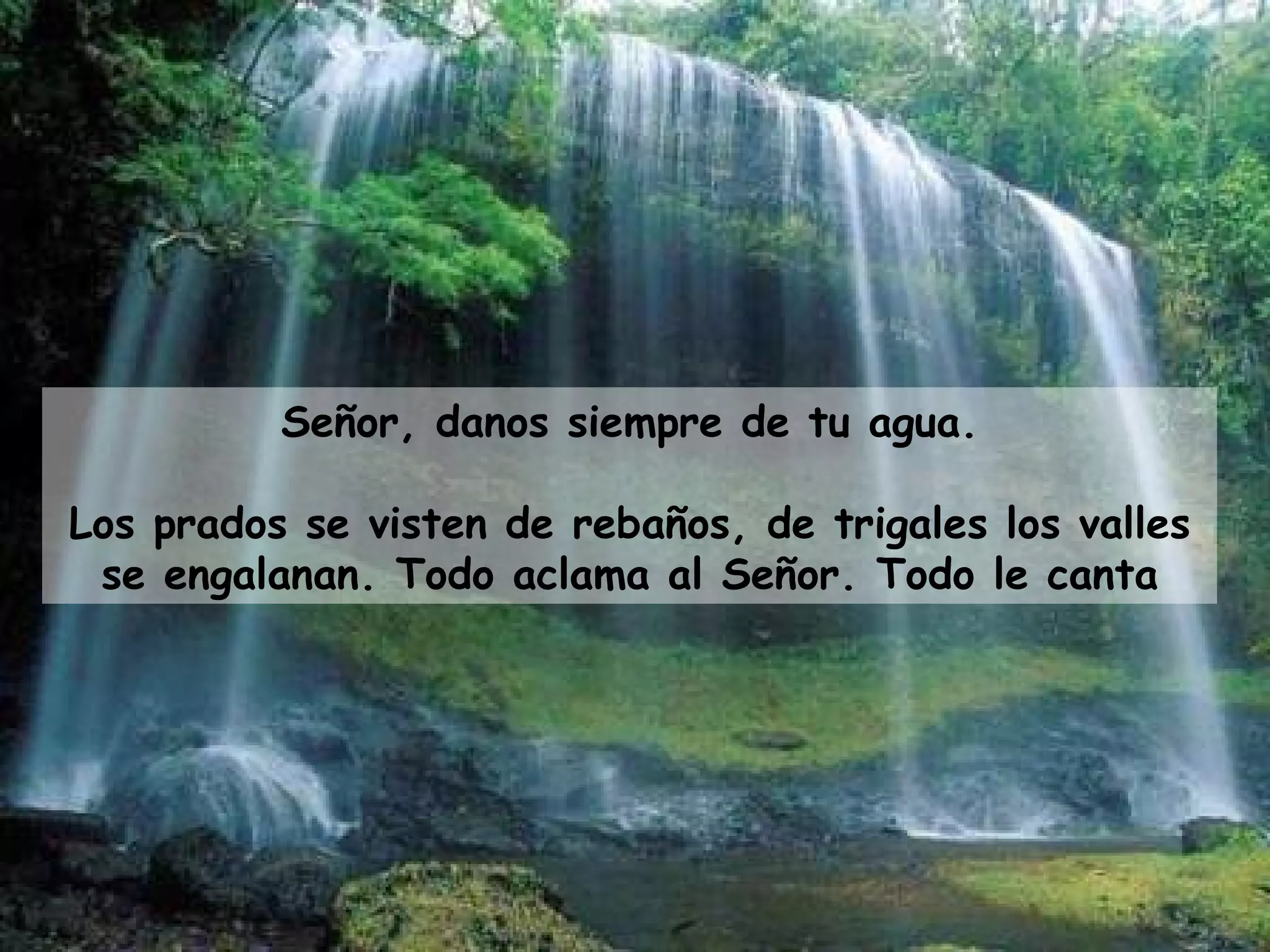 Evangelio san mateo 13, 1 23 | PPT