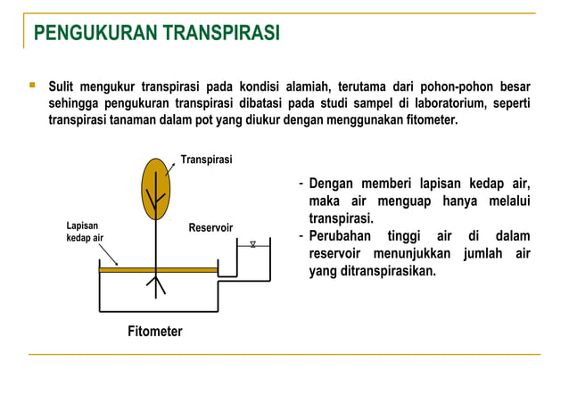 Evaporasi, transpirasi, evapotranspirasi | PPT