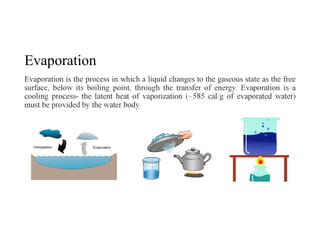 Evaporation | PDF