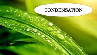 Evaporation, Humidity Measurement and Condensation PPT.pptx
