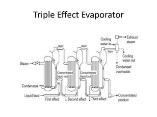 Evaporation in food industry | PPTX