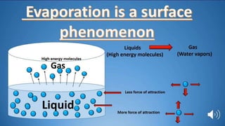 Evaporation process | PPTX