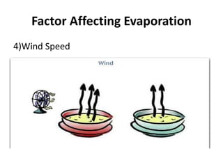 Evaporation ( simple ppt ) | PPTX