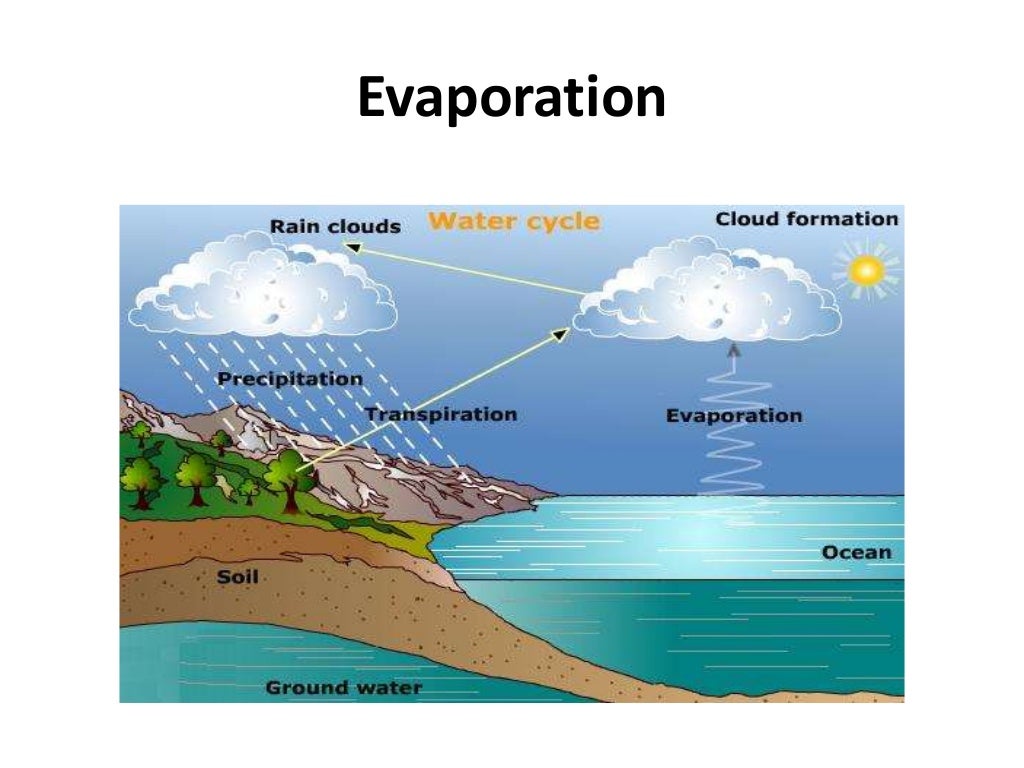 Simple Evaporation Diagram