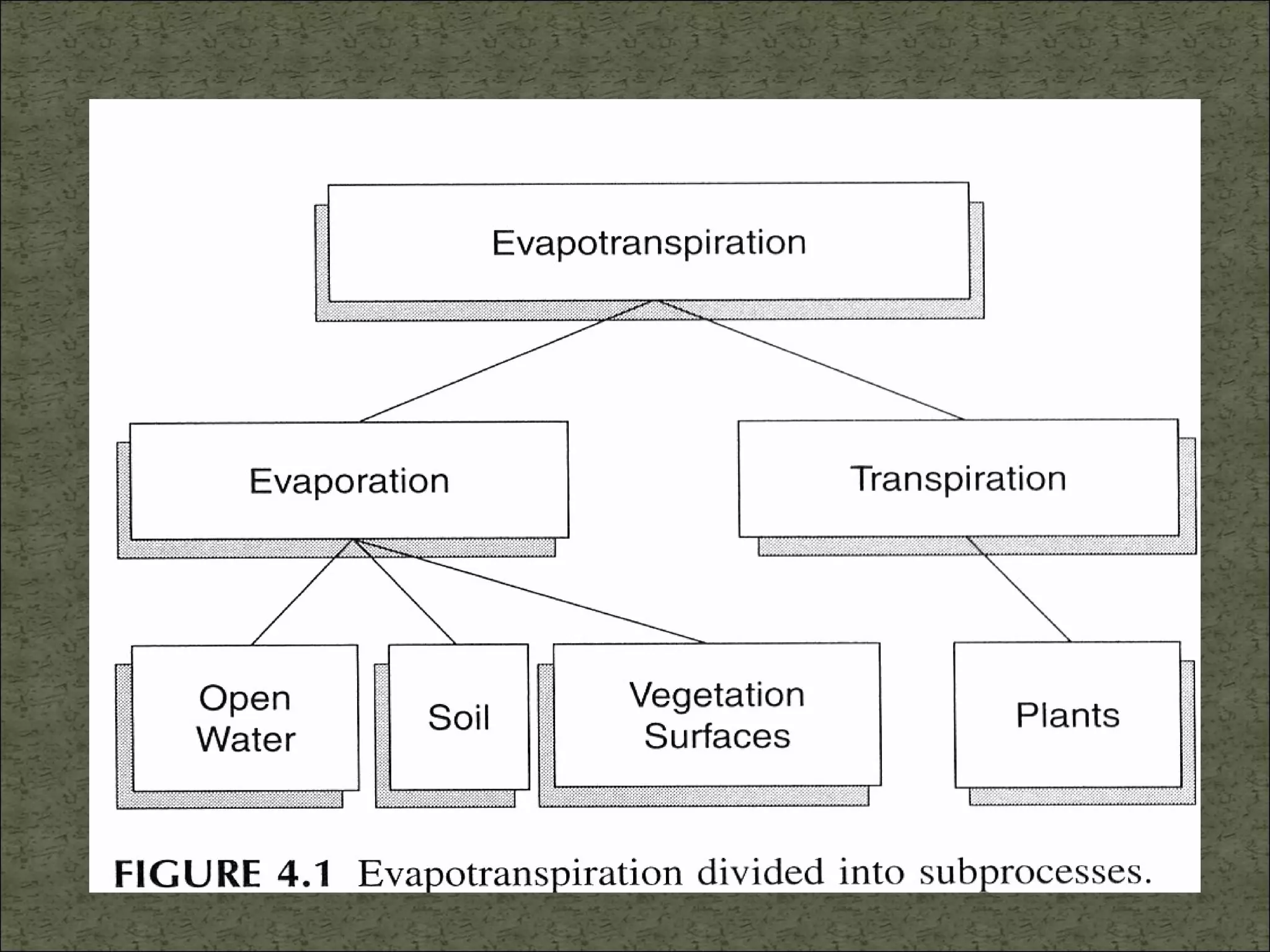 Evaporation, transpiration and evapotranspiration | PPT