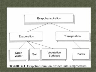 Evaporation, transpiration and evapotranspiration | PPT